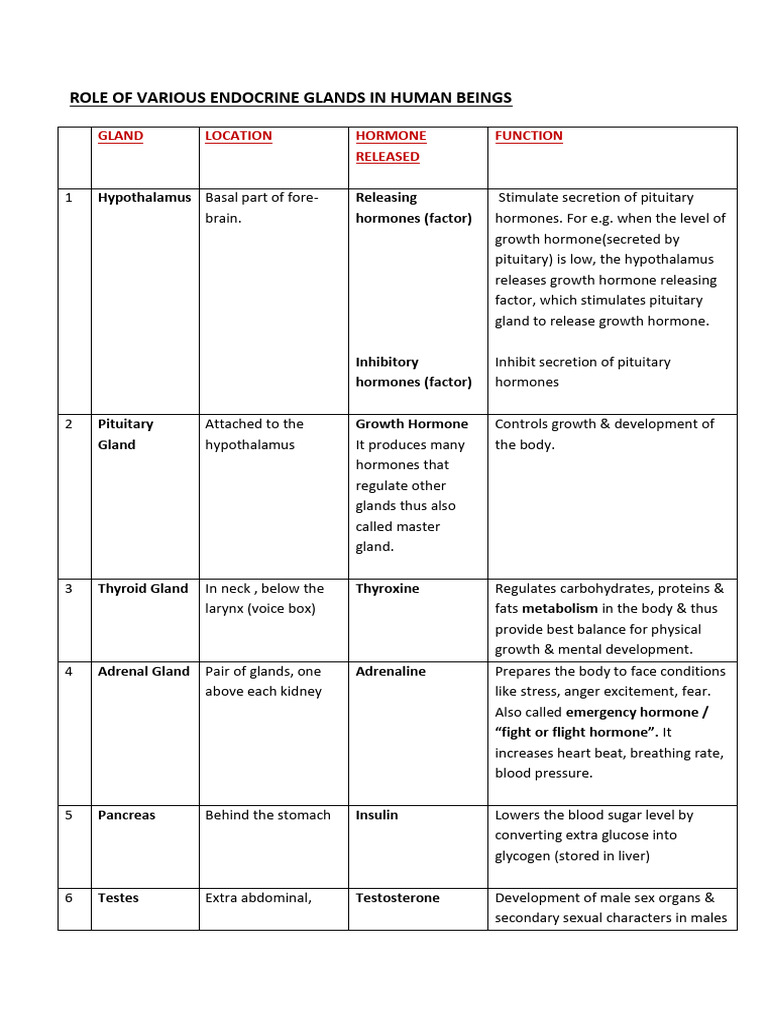 Role of Endocrine Glands Table | PDF | Hormone | Endocrine System