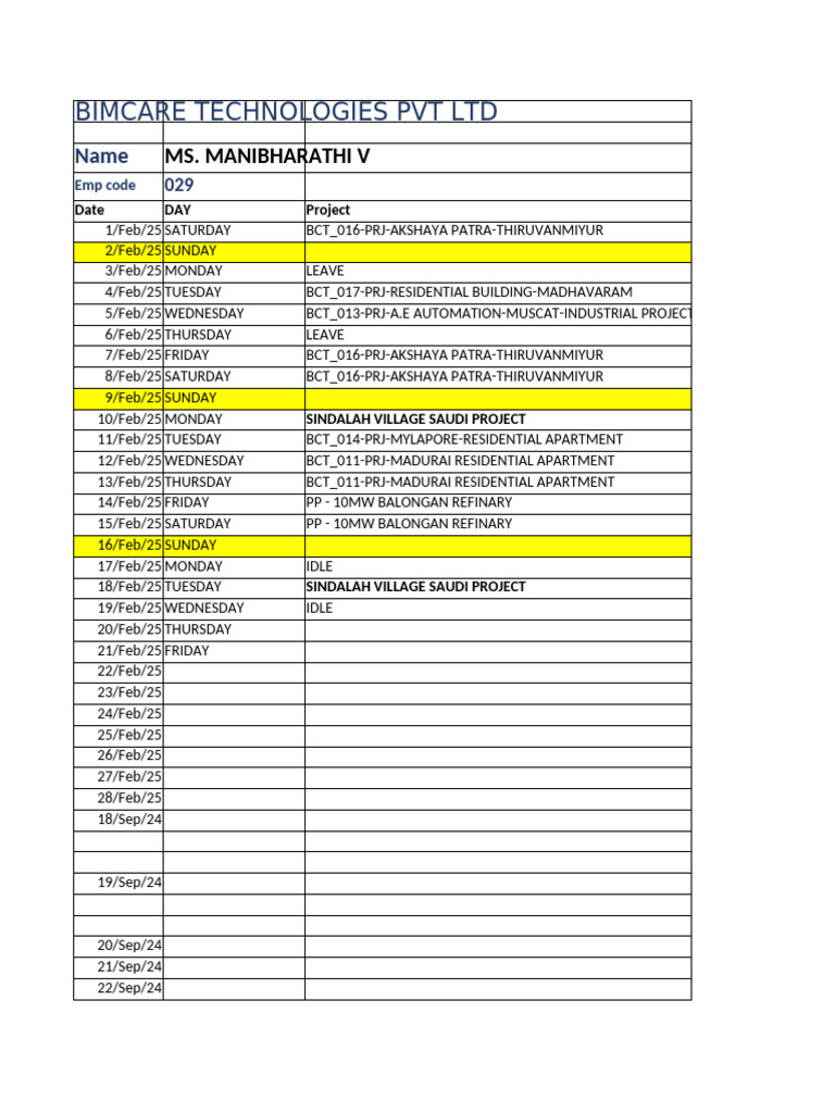 BCT_Time sheet - 029 | PDF