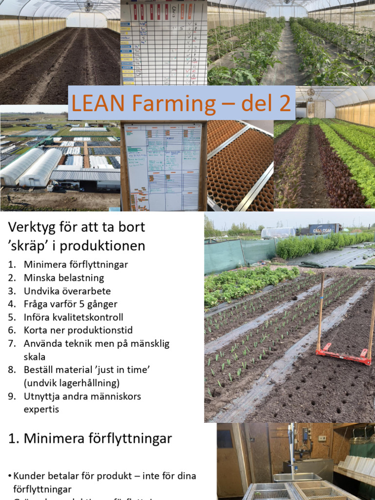 LEAN Farming del 2 | PDF