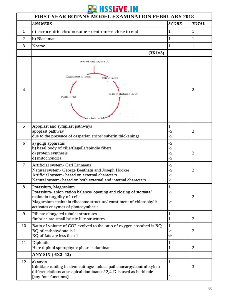 Hsslive XI BOTANY - MODEL Feb 2018 Ans Key 1 | PDF | Branches Of Botany ...