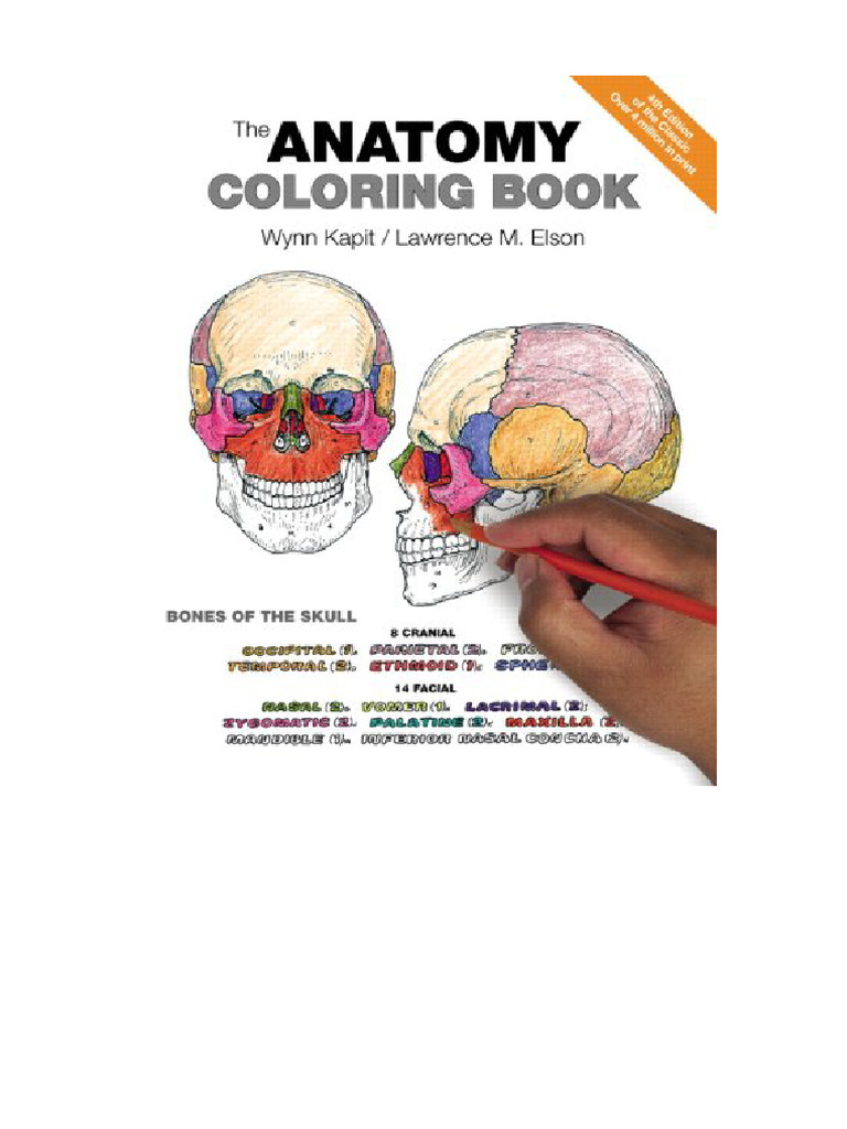 Ebook The Anatomy Coloring Book 4th Edi | PDF