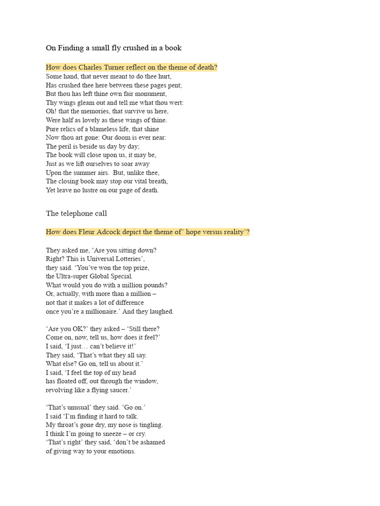 Reflection on a Crushed Fly's Legacy | PDF