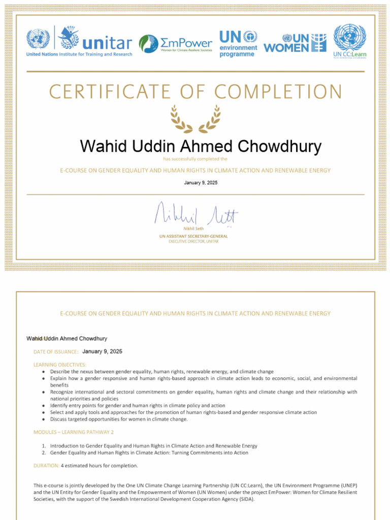 Certificate_of_Completion_-_Learning_Pathway_2 (1) | PDF