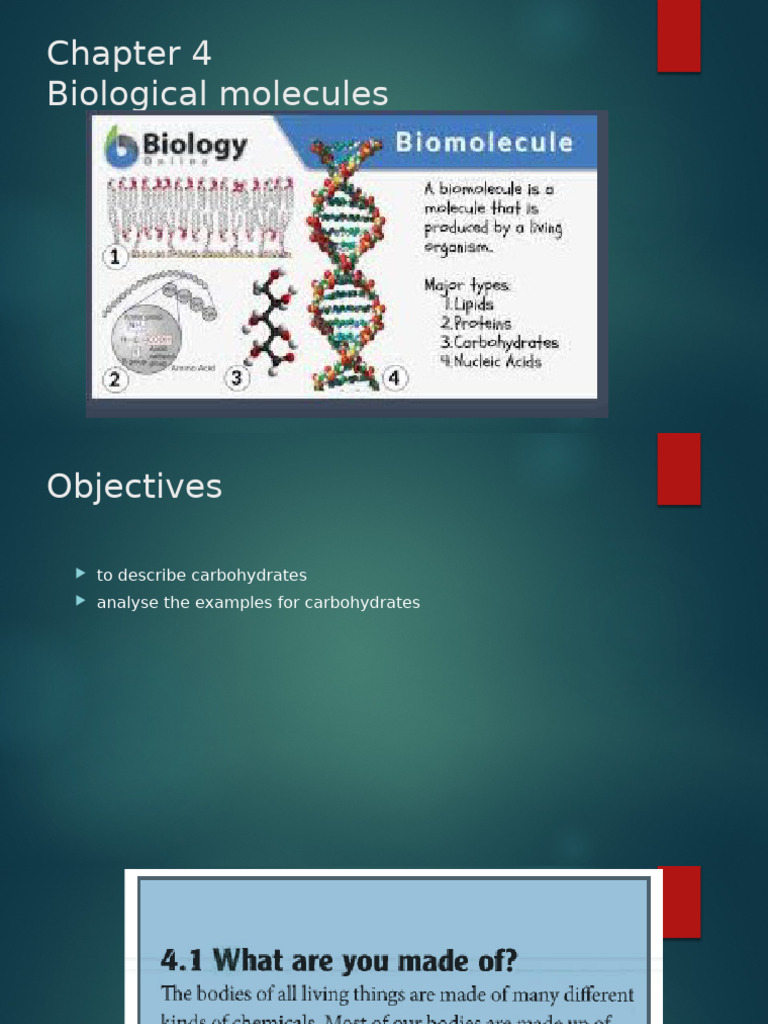 Intro to Carbohydrates Basics | PDF