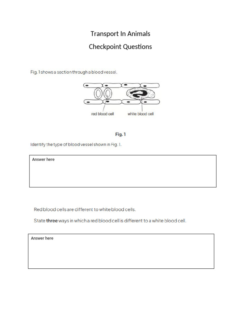 Transport in Animals Classwork | PDF