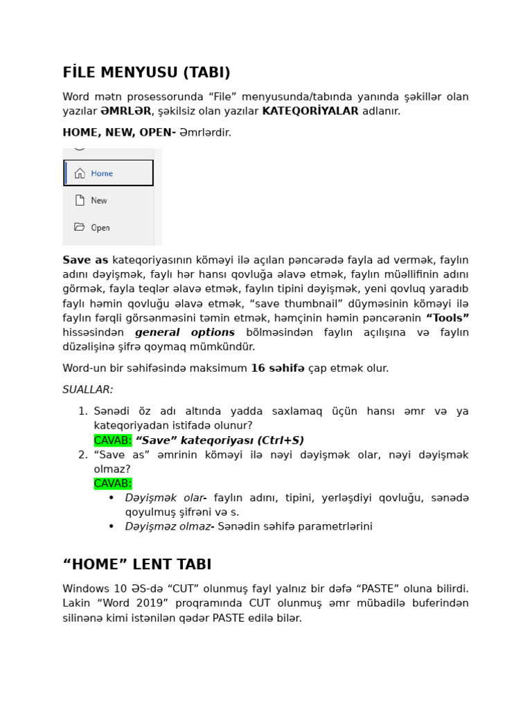 WORD- INFORMATIKA (MAGISTR) | PDF