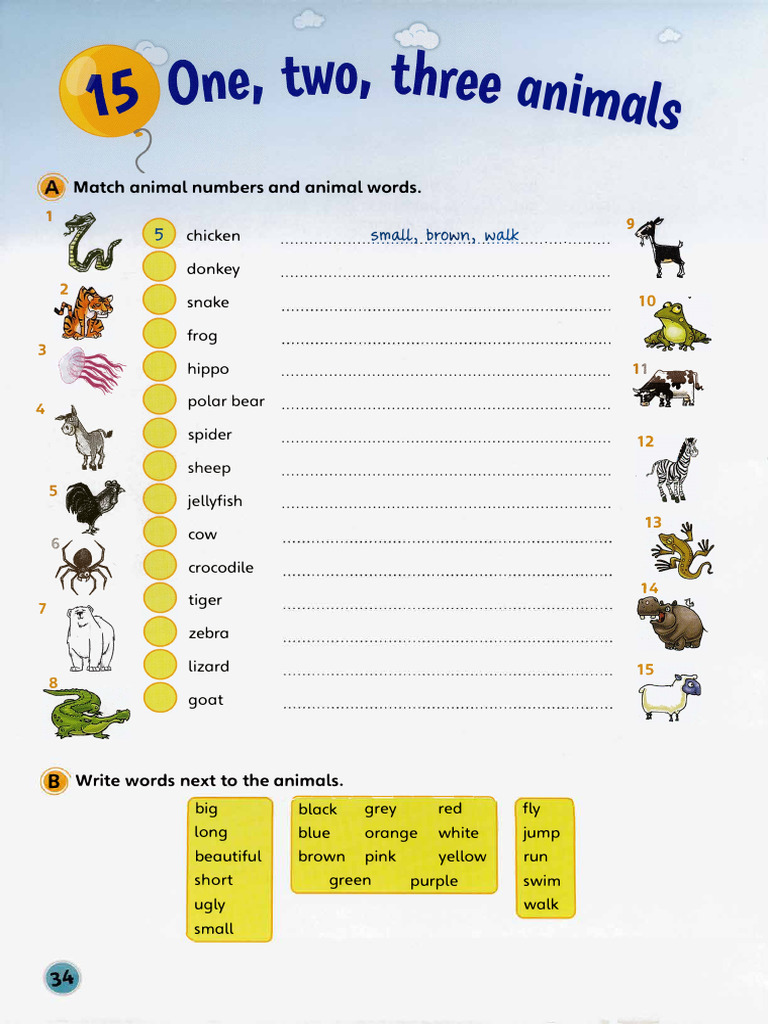 One, Two, Three Animals | PDF | Zoology