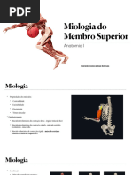 Nomes de 100 Músculos Do Corpo Humano | PDF | Sistema Locomotor ...