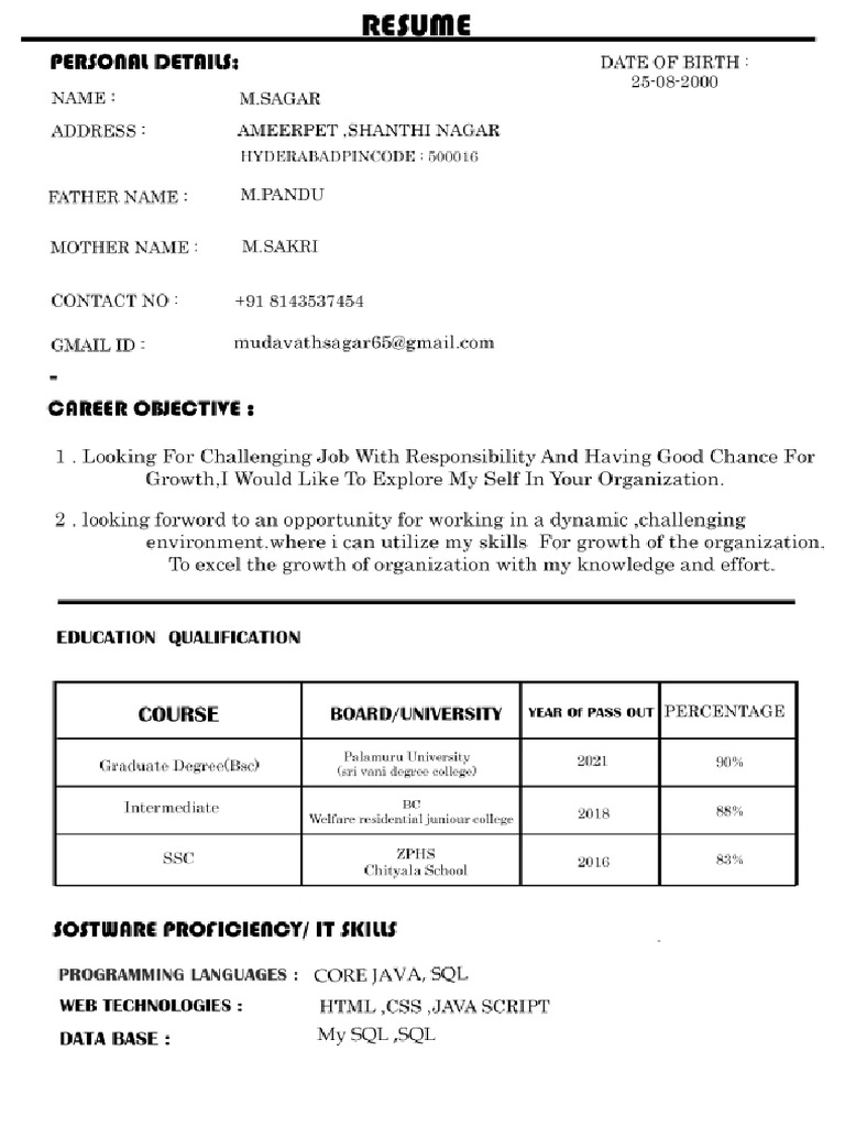 Sagar Resume | PDF