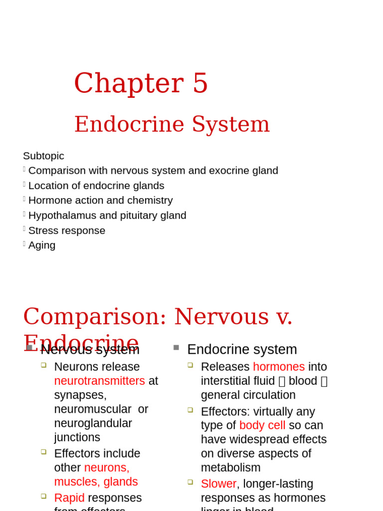 MB107 005 Endocrine System | PDF | Endocrine System | Luteinizing Hormone