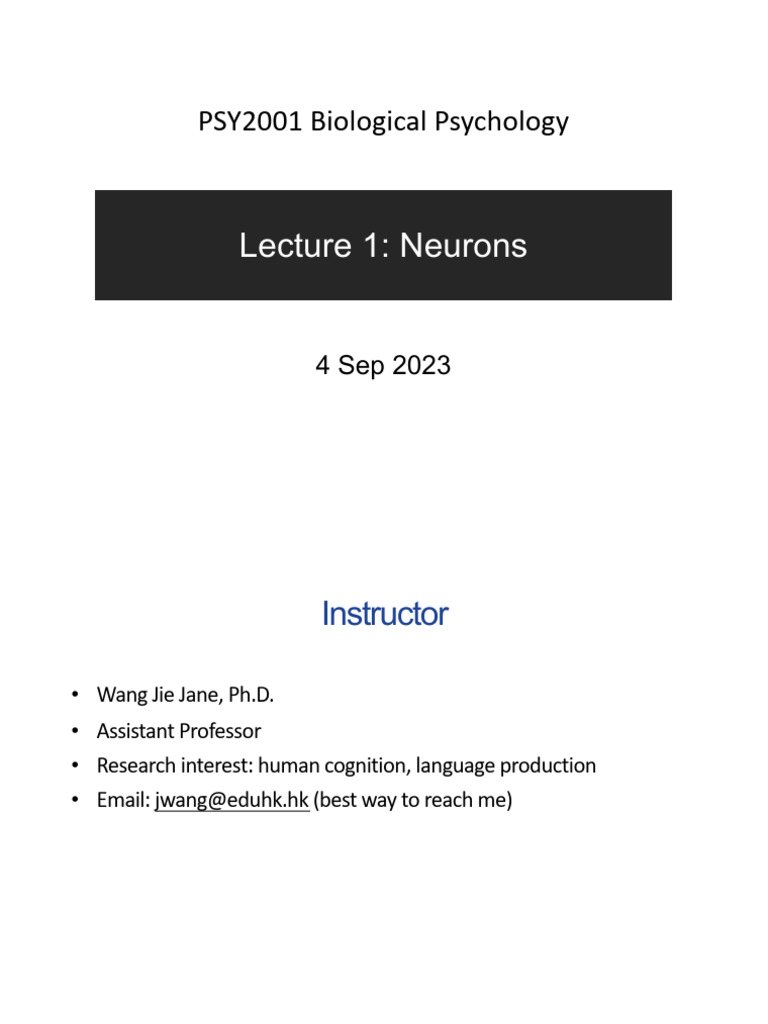 Lecture_1_neurons | PDF | Axon | Neuron