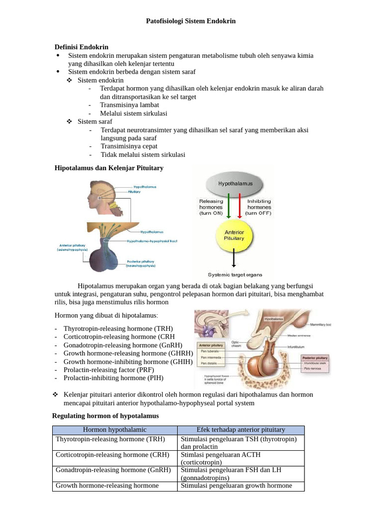 Print Pato UAS | PDF