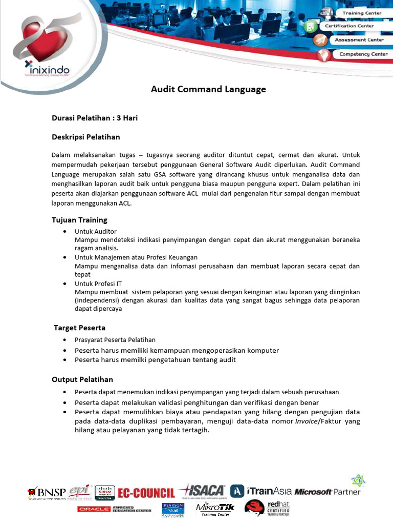 (Audit Command Language) - (Syl) - (Ina) | PDF