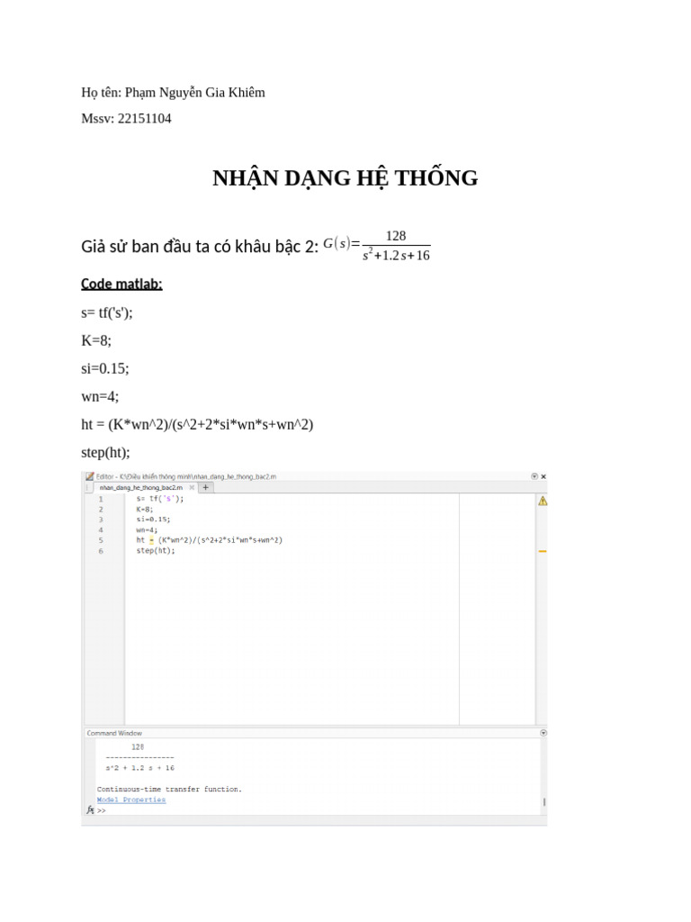 báo cáo ident bậc 2 | PDF