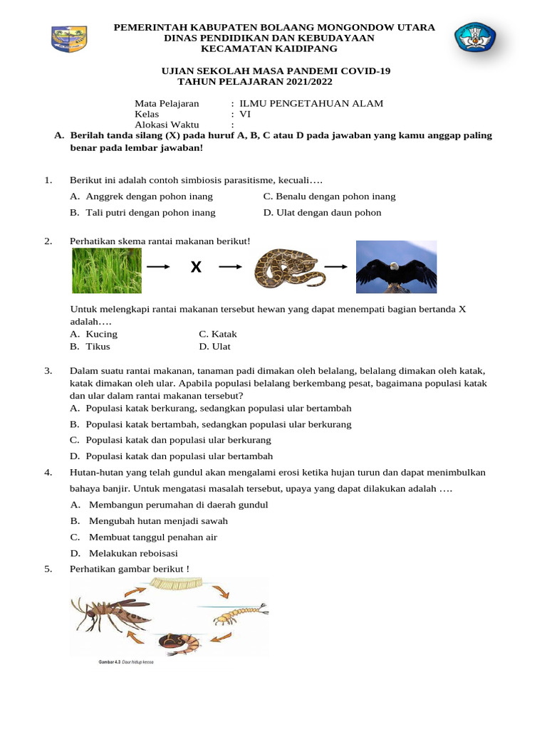 Soal Us Ipa Kls 6 Fix | PDF