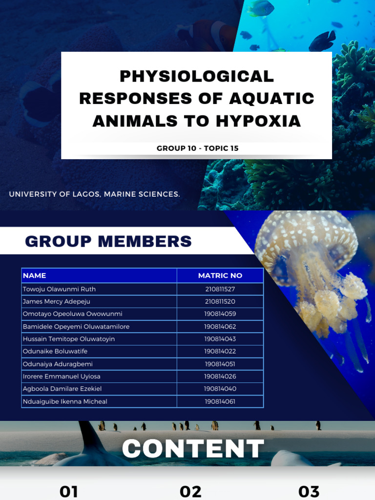Aquatic Animals' Responses to Hypoxia | PDF | Dead Zone (Ecology) | Gill