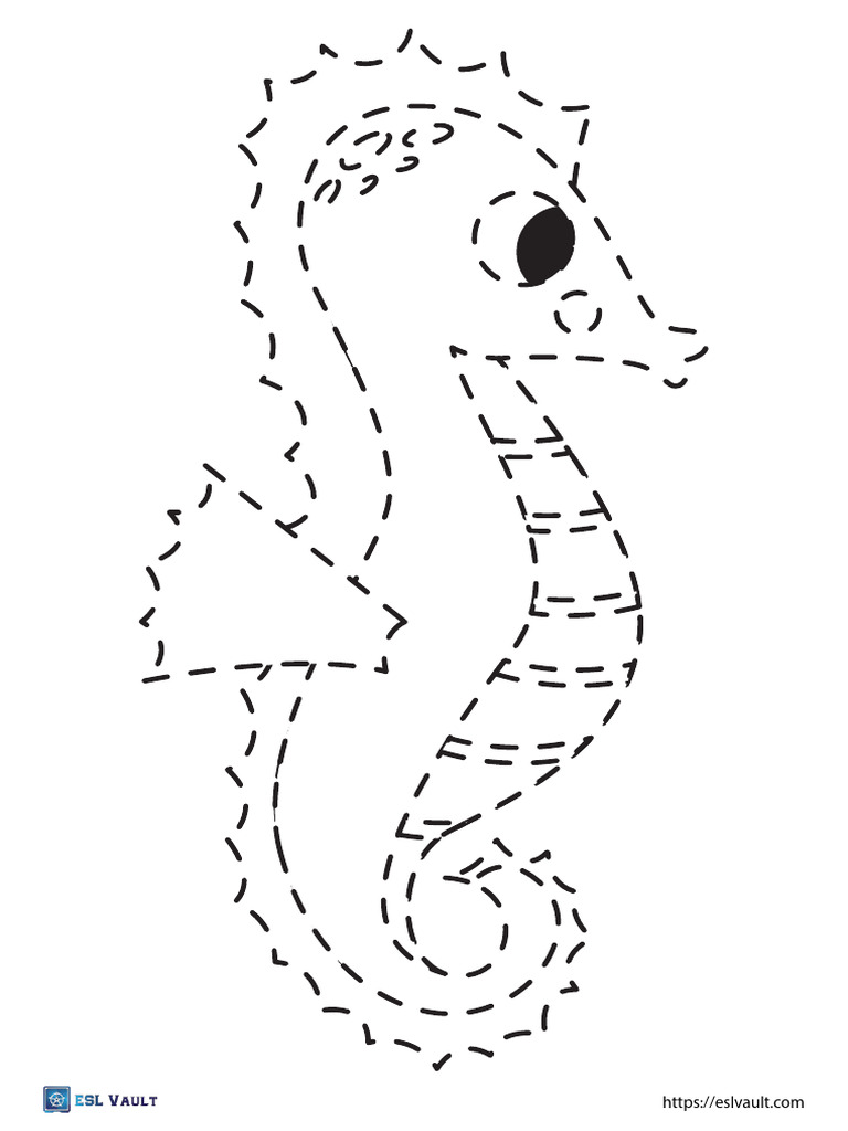 Seahorse Tracing Techniques Explained | PDF