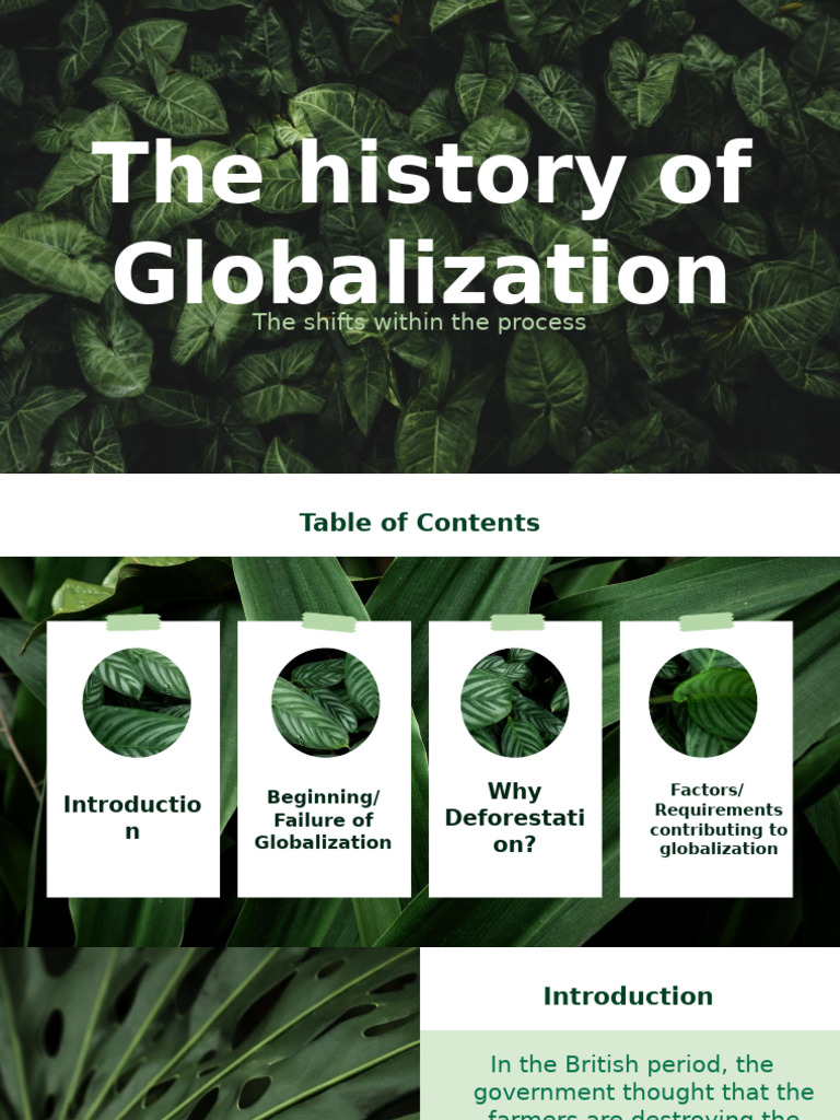 History and Impact of Globalization | PDF | Globalization | British Empire