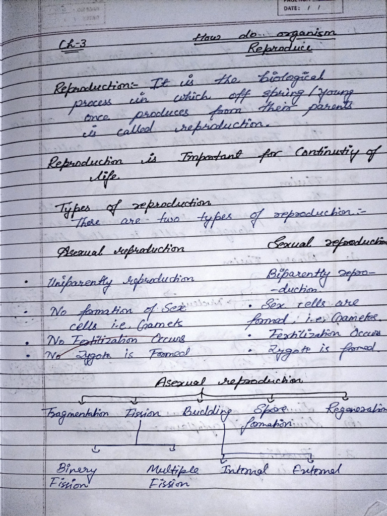 CH 3 Bio Notes | PDF