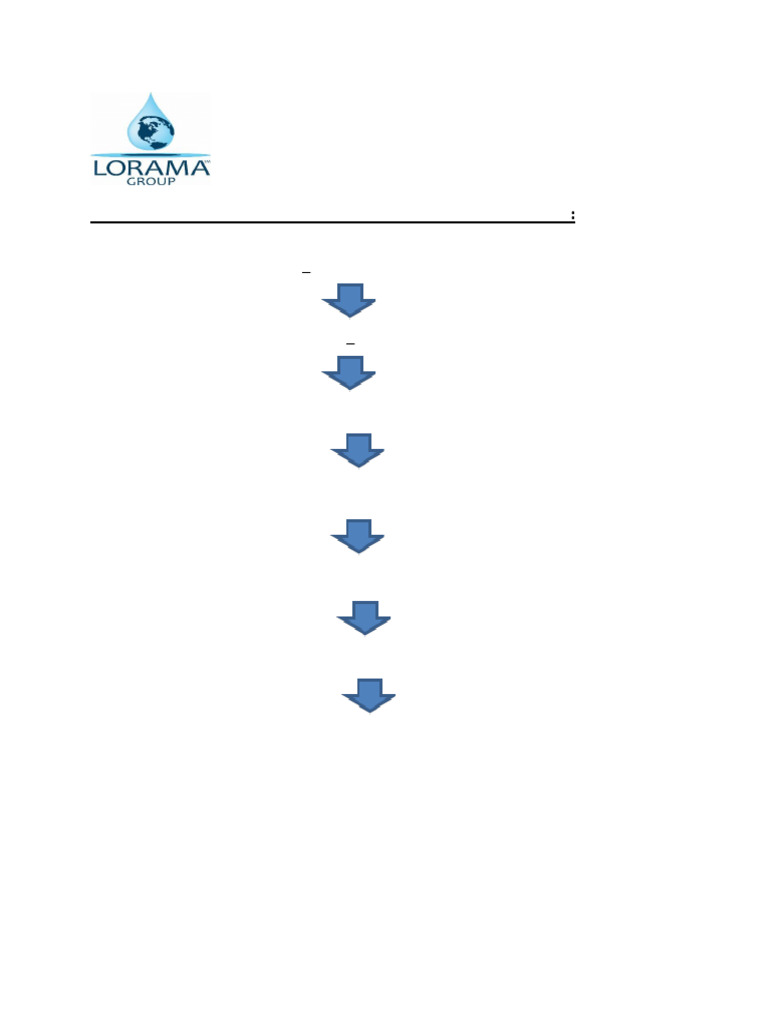 Lorama-Direct Water Addition Flow Chart | PDF