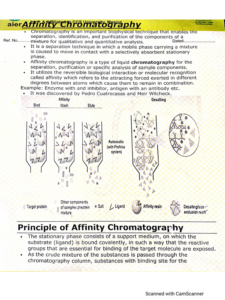 affinity chromatography | PDF