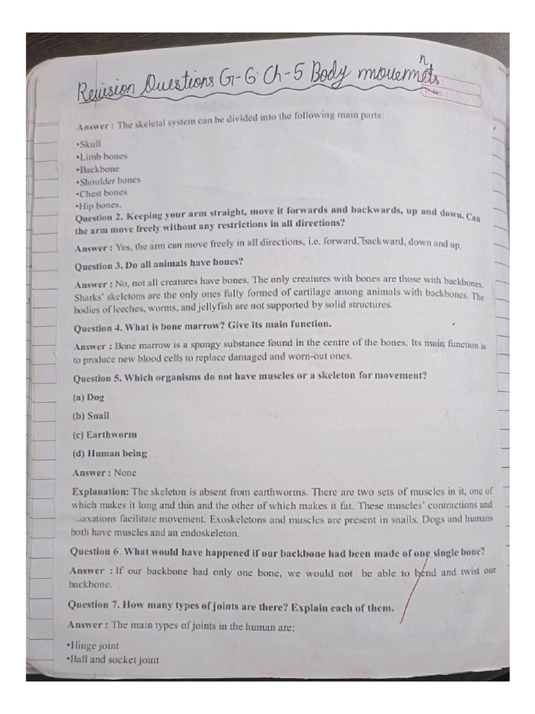 Body Movement Class 6 | PDF