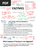 Amoeba Sisters Enzyme Handout | PDF | Enzyme | Catalase