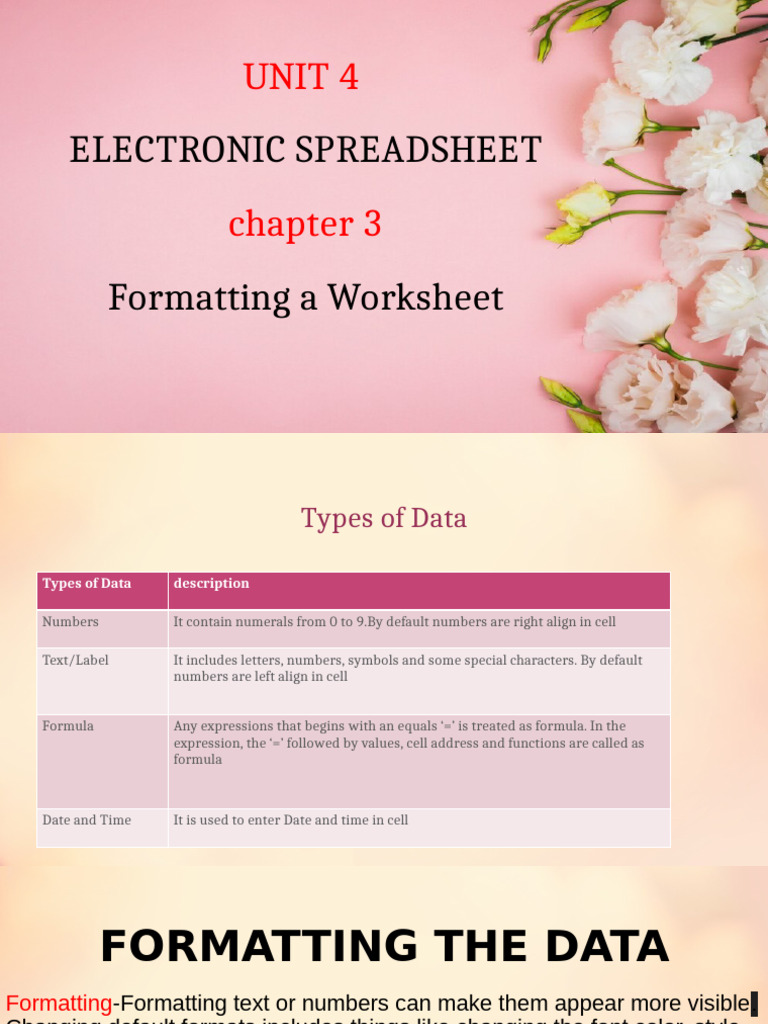 Formatting Worksheets in Spreadsheets | PDF | Spreadsheet | Typefaces