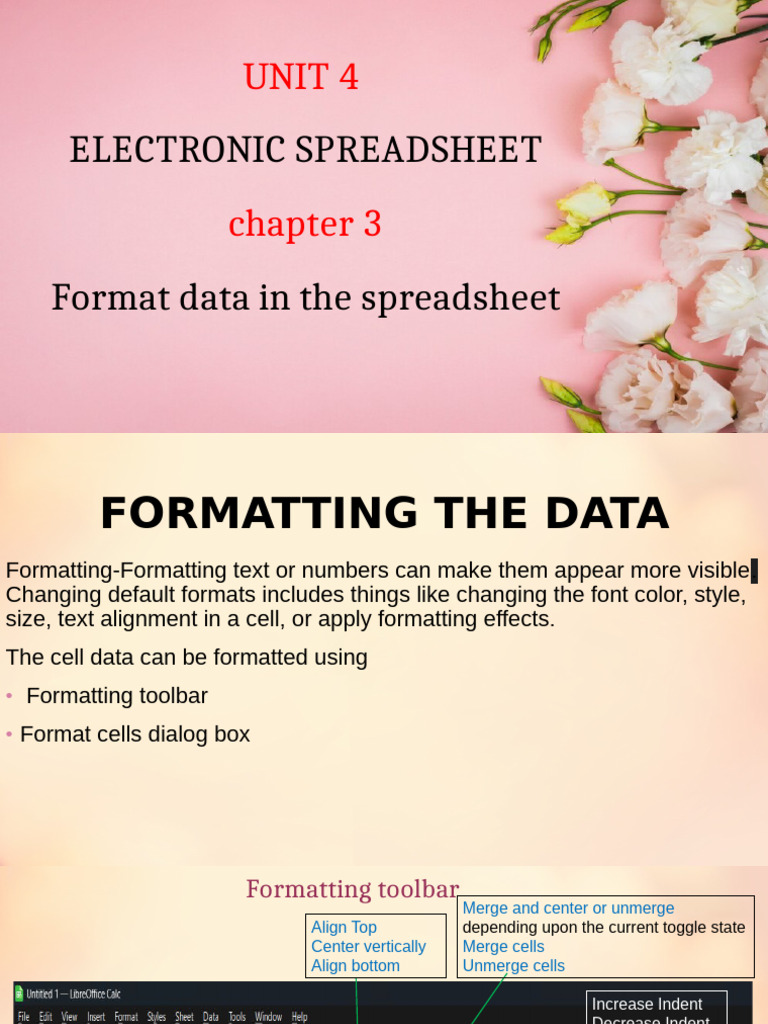 Formatting Data in Electronic Spreadsheets | PDF | Spreadsheet | Typefaces