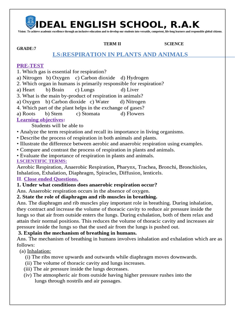 Grade 7 Science: Plant and Animal Respiration | PDF | Respiratory ...