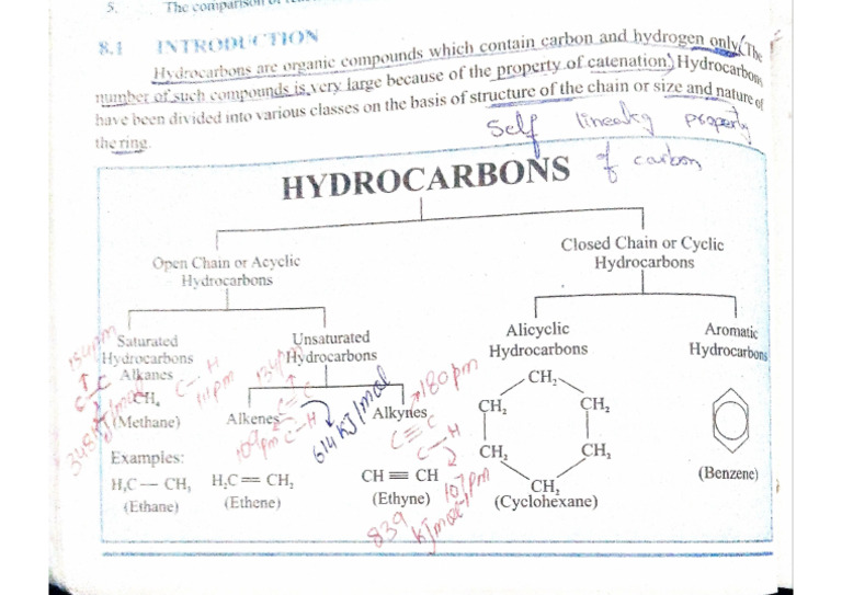Hydrocarbons | PDF