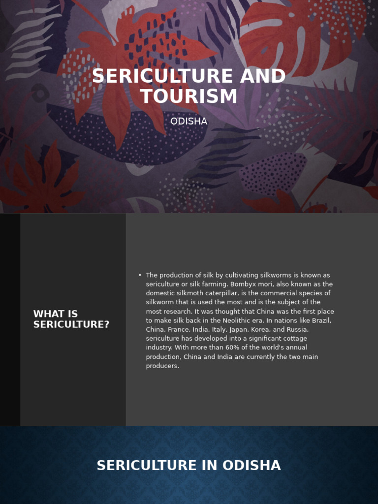 Sericulture and Tourism | PDF | Silk