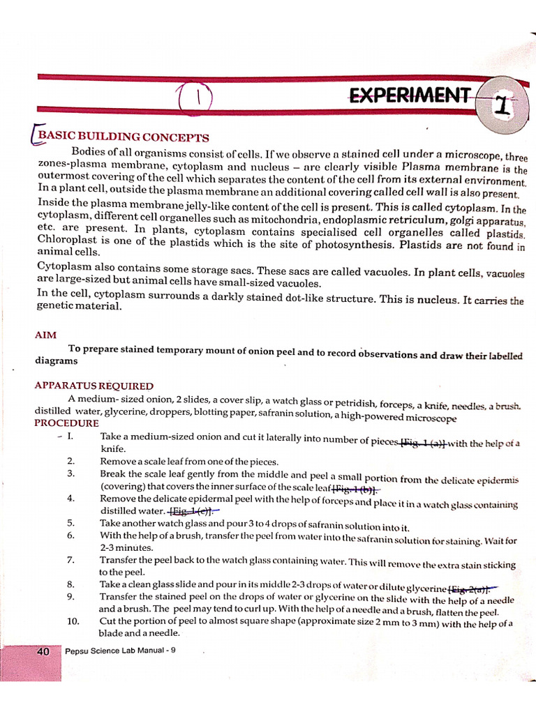 Experiment 1-1 | PDF