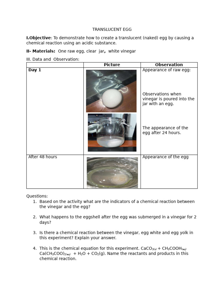 Create a Translucent Egg Experiment | PDF