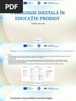 Fise de Lucru-Tic | PDF