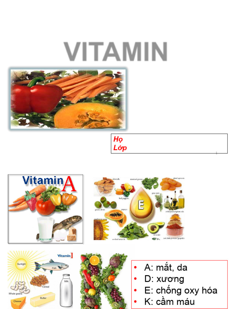 4 Vitamin | PDF