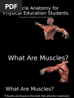 Muscular System Grade 4 Science | PDF | Wellness
