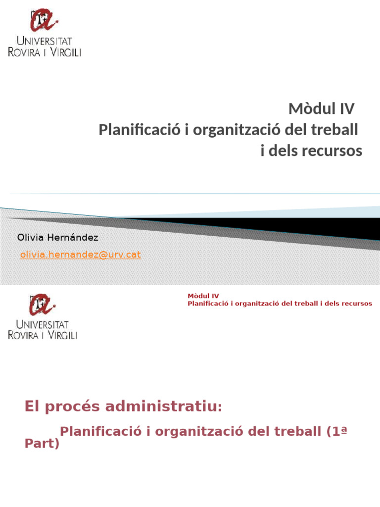 2024 Modul IV. Planif I Organit NO IMORÉS | PDF