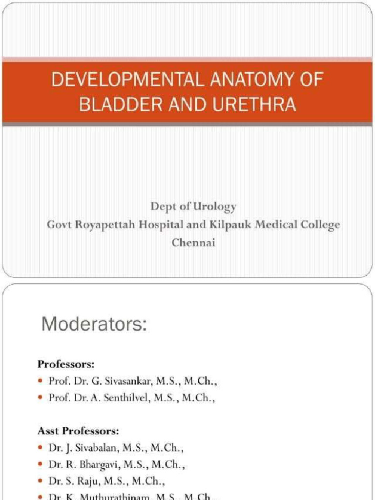 Bladder anatomy & embryology of bladder and urethra-converted | PDF