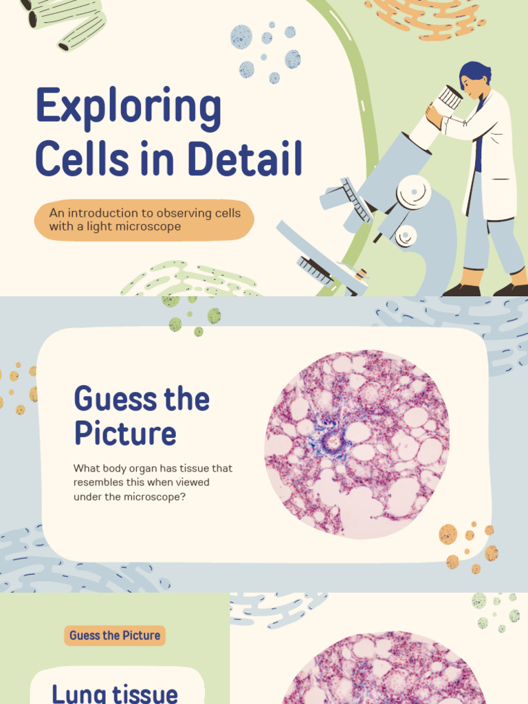 Introduction to Light Microscopy and Cells | PDF