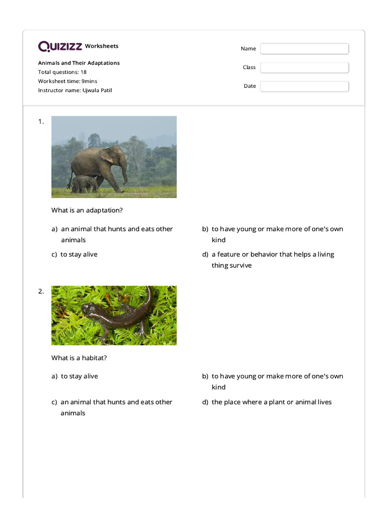 Quizizz - Animals and Their Adaptations | PDF | Zoology | Biology