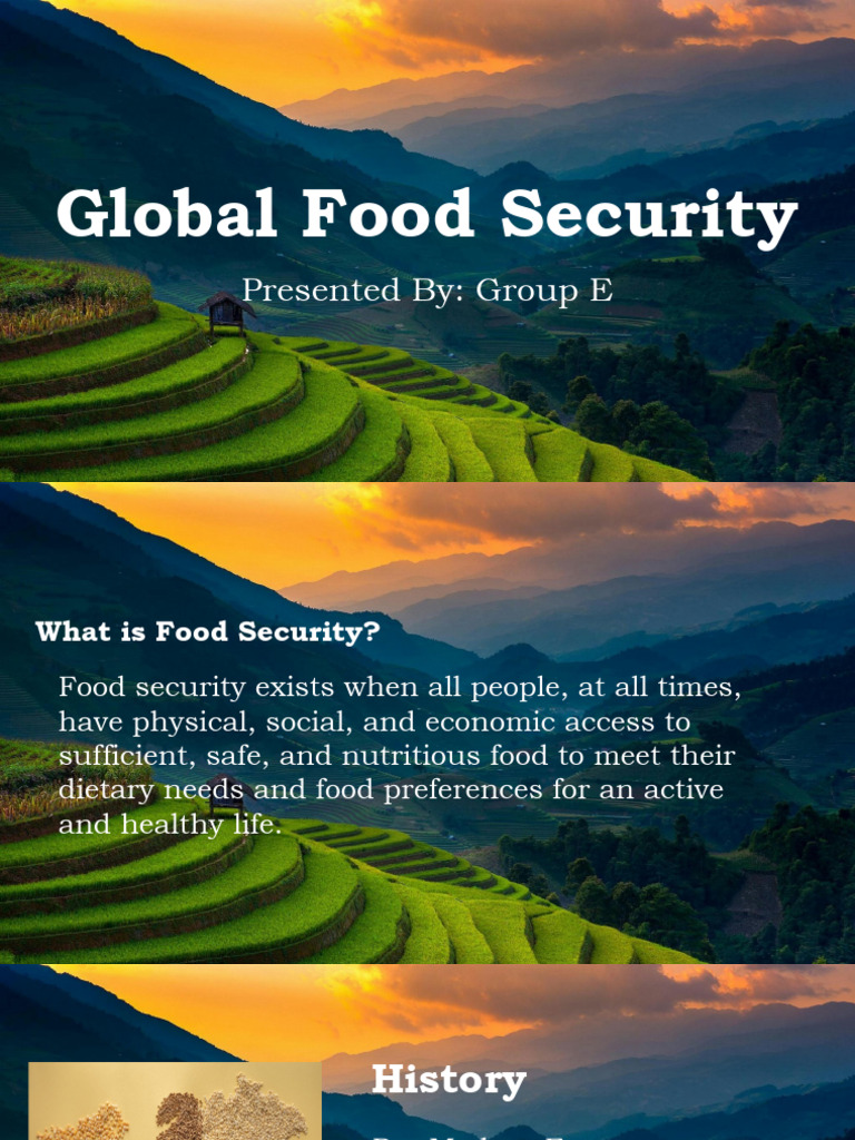 Global Food Security Overview and Challenges | PDF