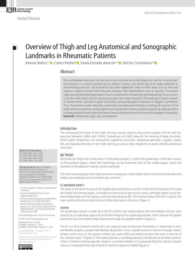 Overview of Thigh and Leg Anatomical and Sonographic Landmarks in ...