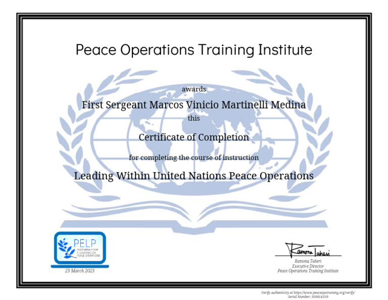 Leading Within United Nations Peace Operations | PDF