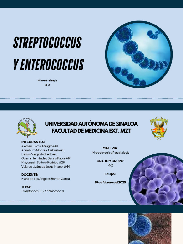 Streptococcus y Enterococcus PDF | PDF | Enfermedades y trastornos humanos | Especialidades Medicas