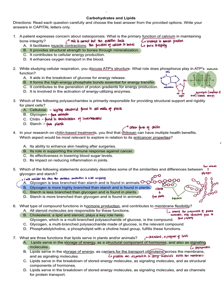 Carbs and Lipids PDF For Answer Key | PDF | Carbohydrates | Lipid