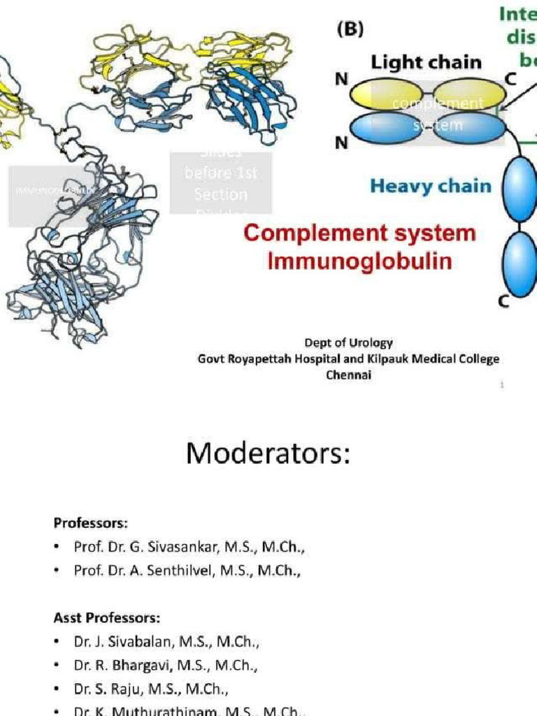 Complement system Immunoglobulin | PDF
