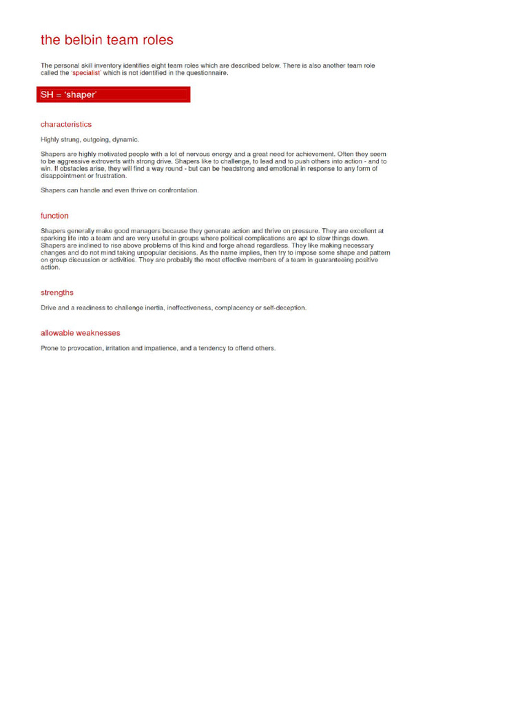 Belbins Team Roles Descriptions For Sts | PDF