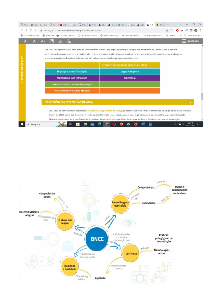 Mapa Mental BNCC | PDF
