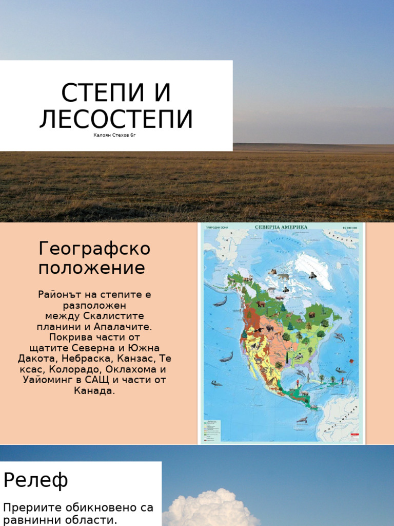 Stepi | PDF